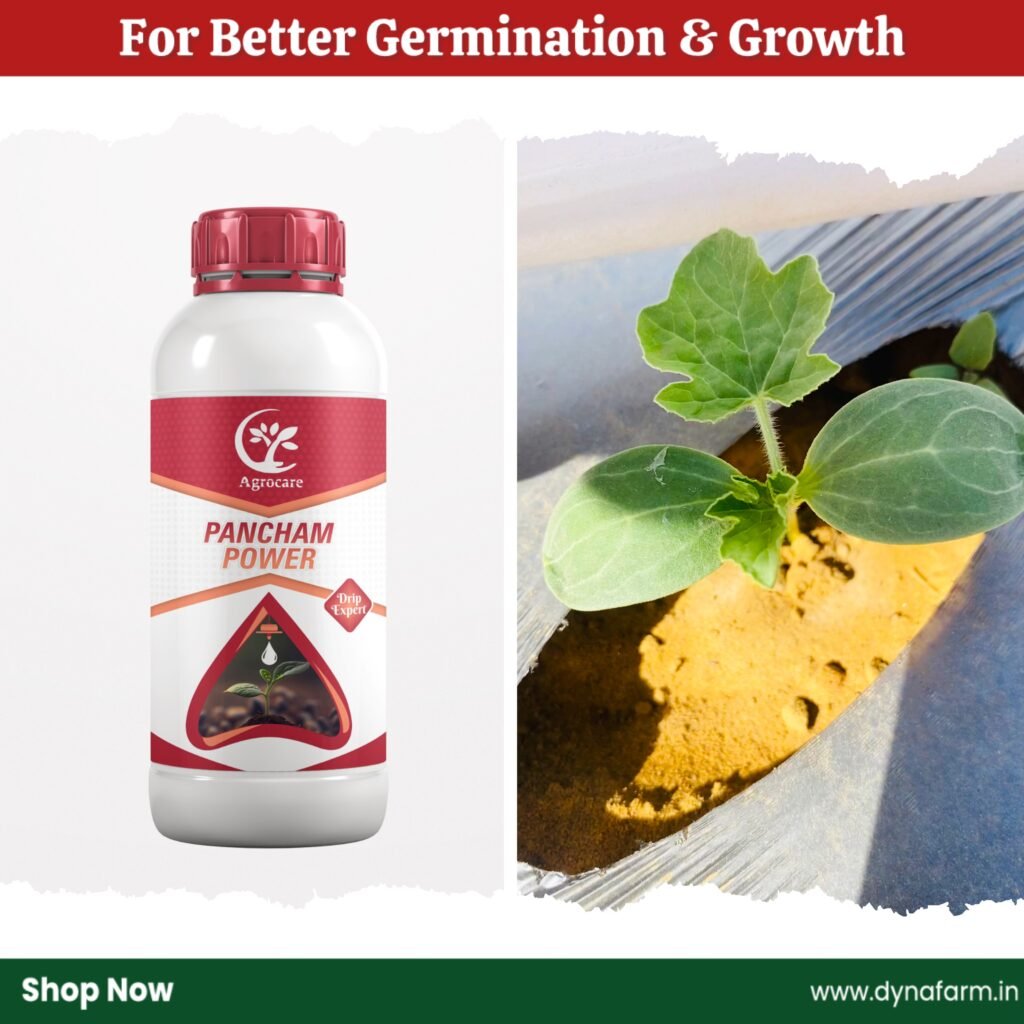 Multiplex Jivras Biostimulant - dynafarm.in